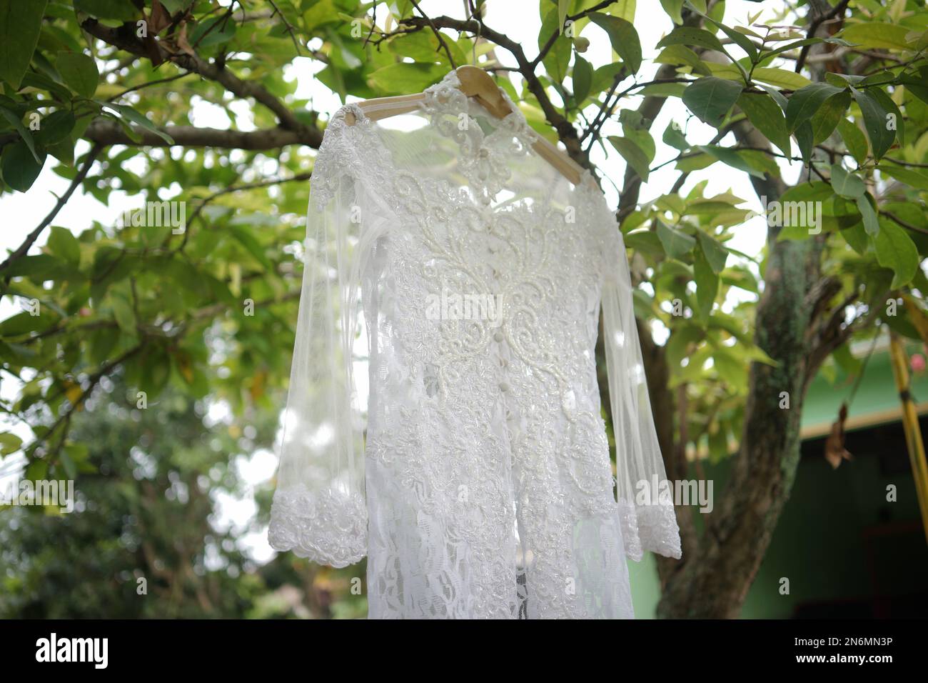 White wedding dress hanging in a tree Stock Photo - Alamy