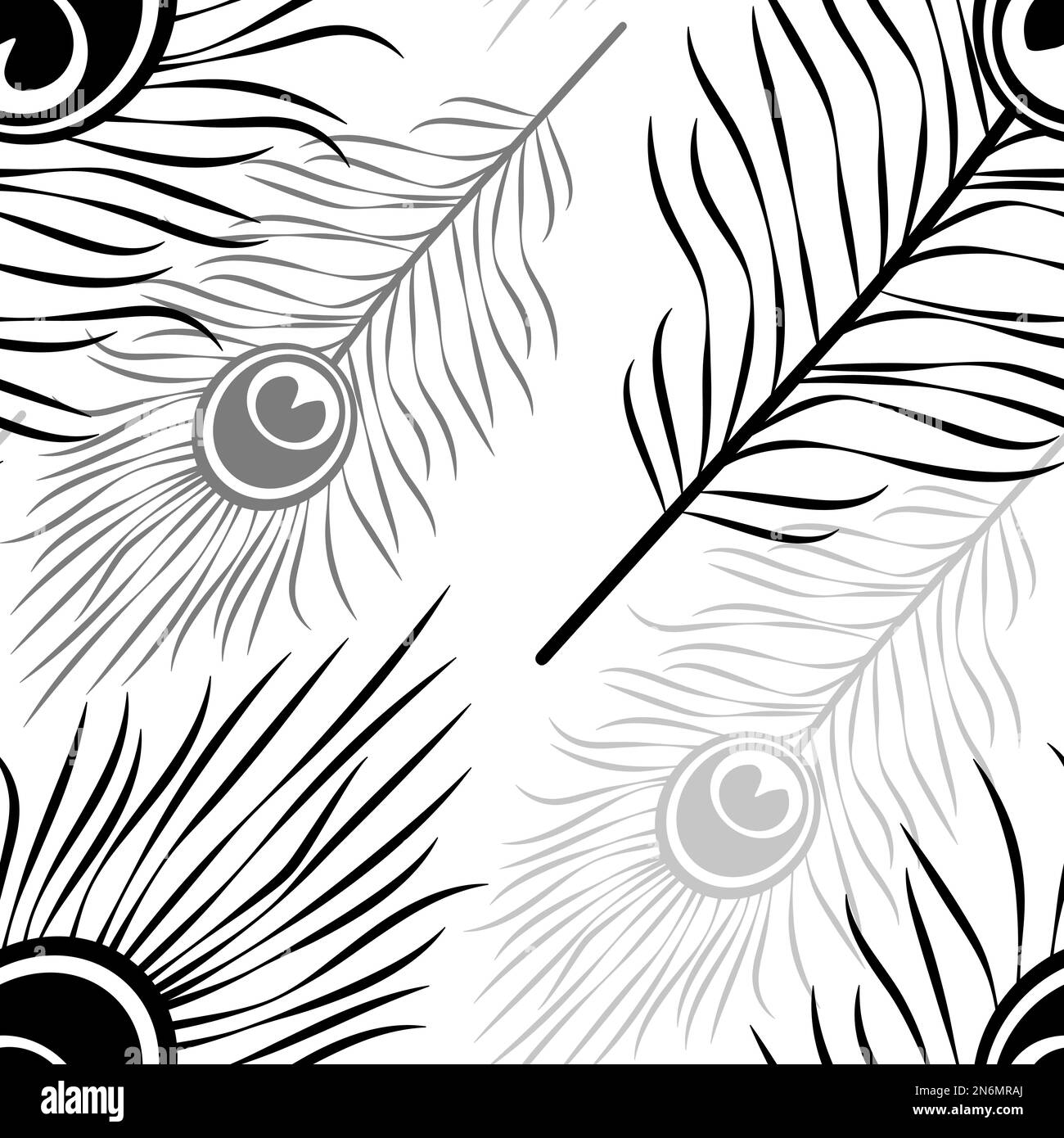 Peacock feather on white background. Seamless pattern. Simple black and ...