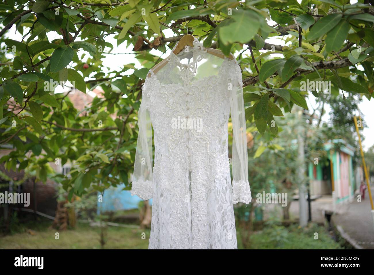 White wedding dress hanging in a tree Stock Photo - Alamy