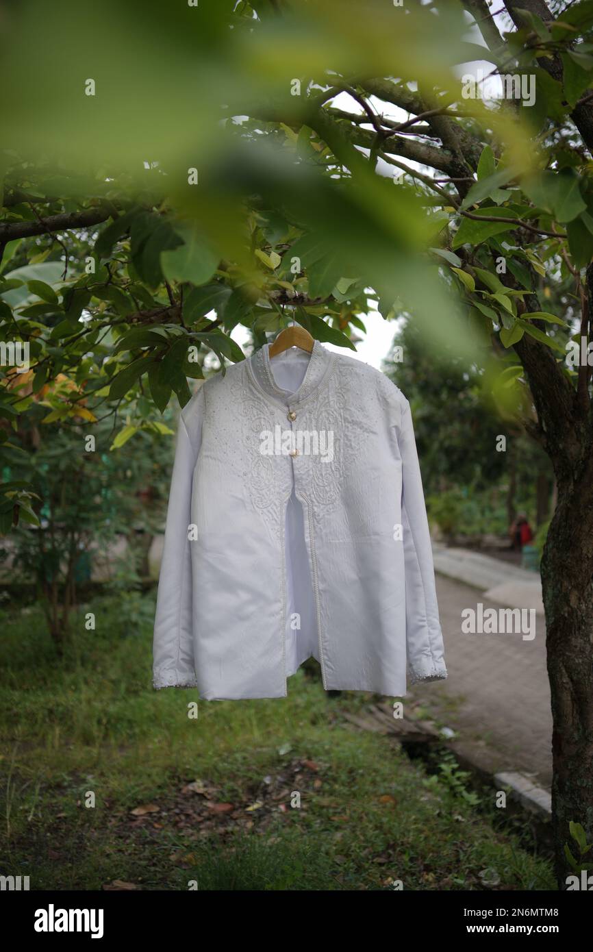 White wedding dress hanging in a tree Stock Photo - Alamy