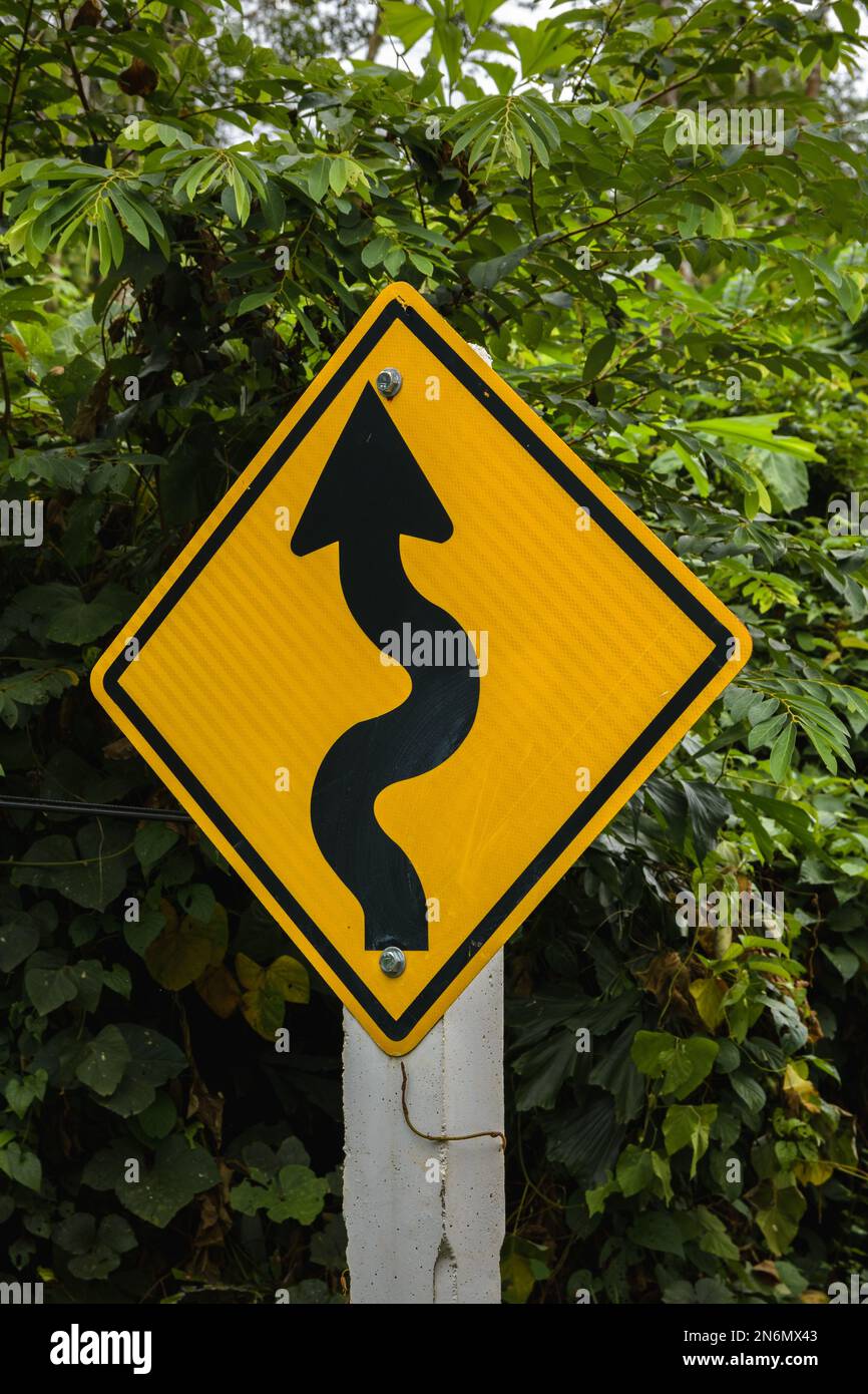 Yellow curves warning sign with green leaves in the background. Ko ...