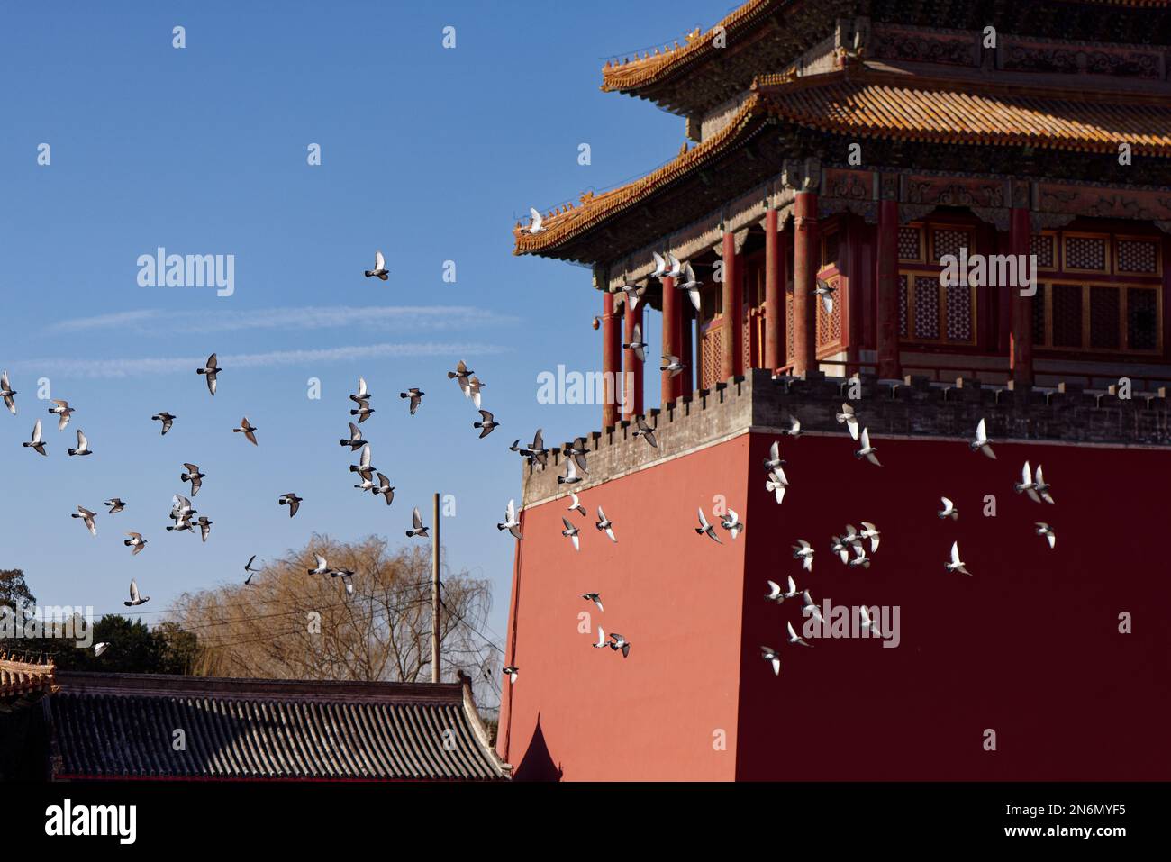 The Forbidden City was the political and ritual center of China for ...