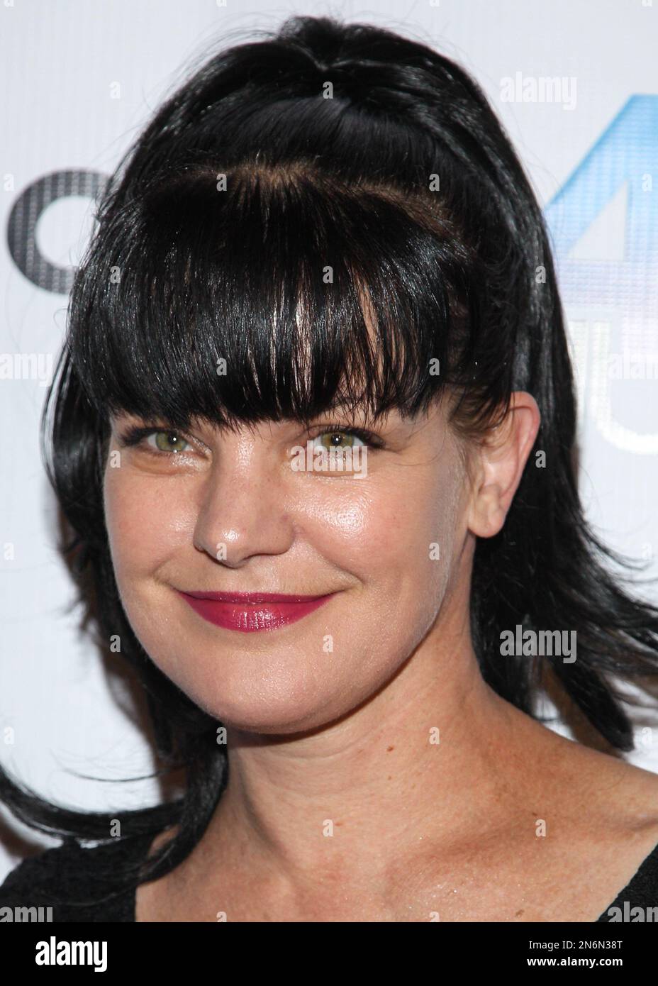 Actress Pauley Perrette arrives at the 2nd Annual Heroes Helping Heroes ...