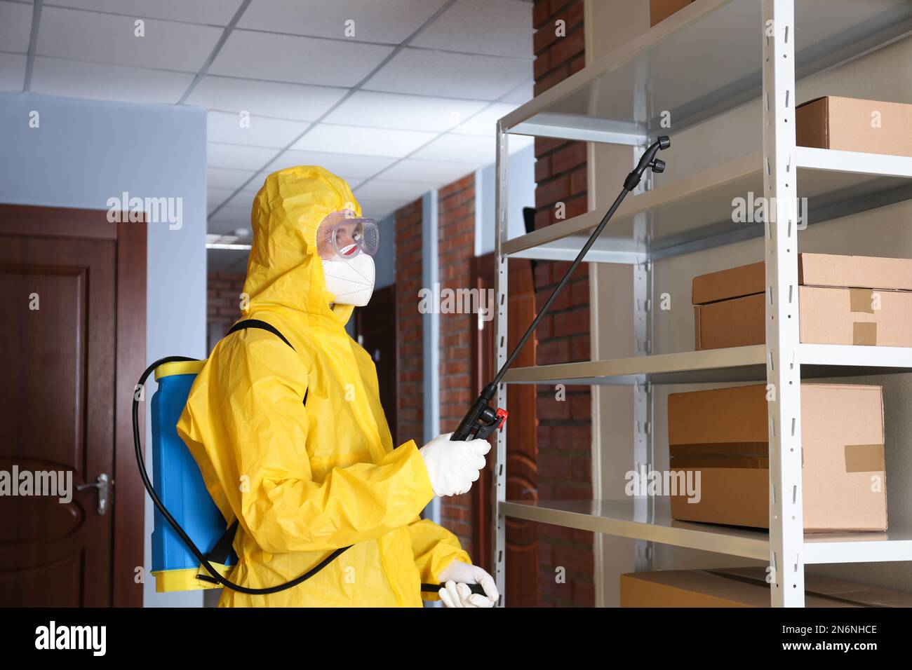 Pest control worker spraying pesticide on rack indoors Stock Photo - Alamy