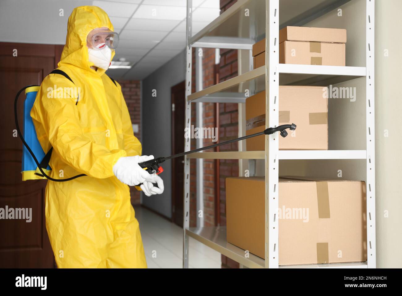 Pest control worker spraying pesticide on rack indoors Stock Photo - Alamy