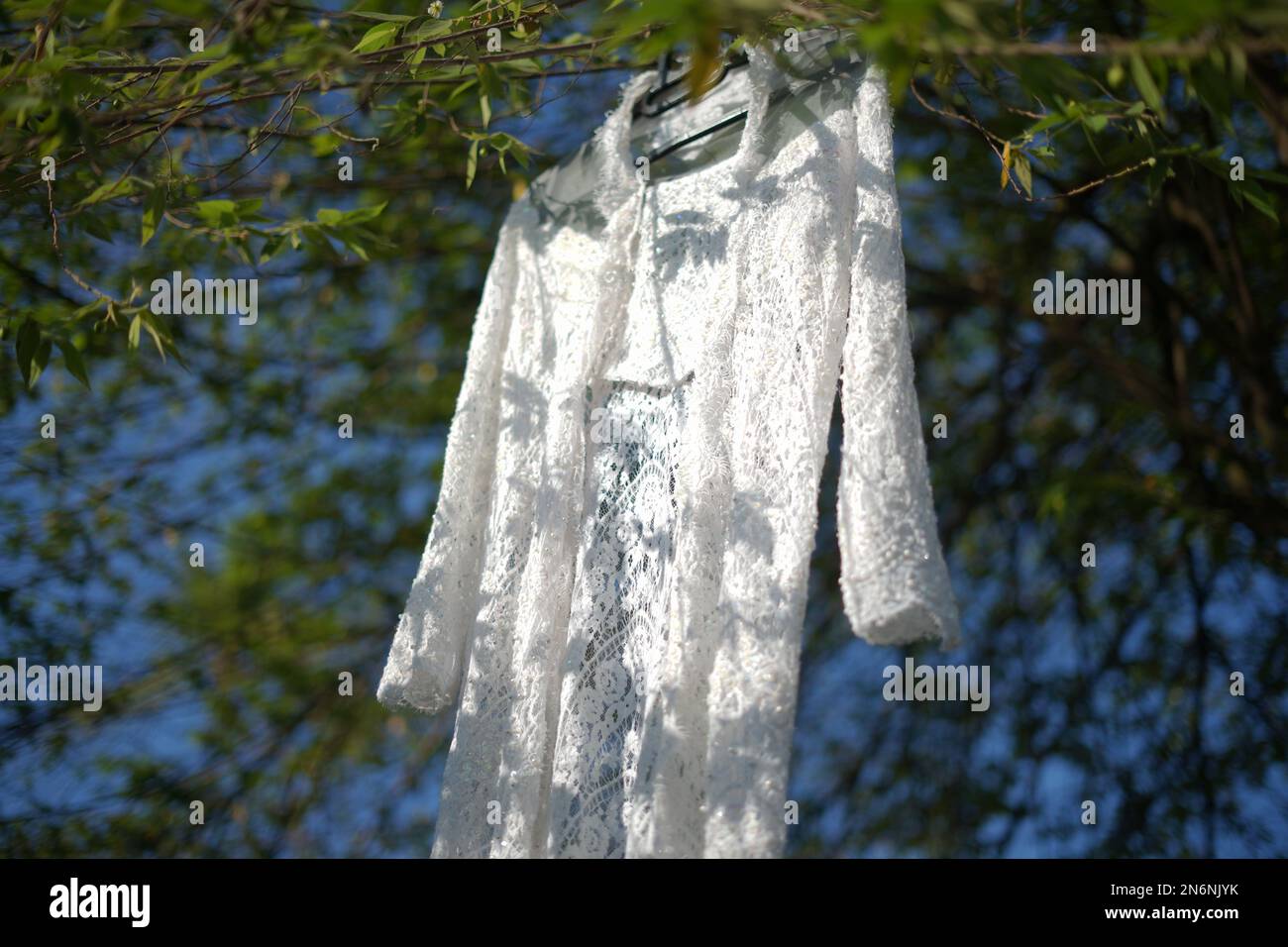 White wedding dress hanging in a tree Stock Photo - Alamy