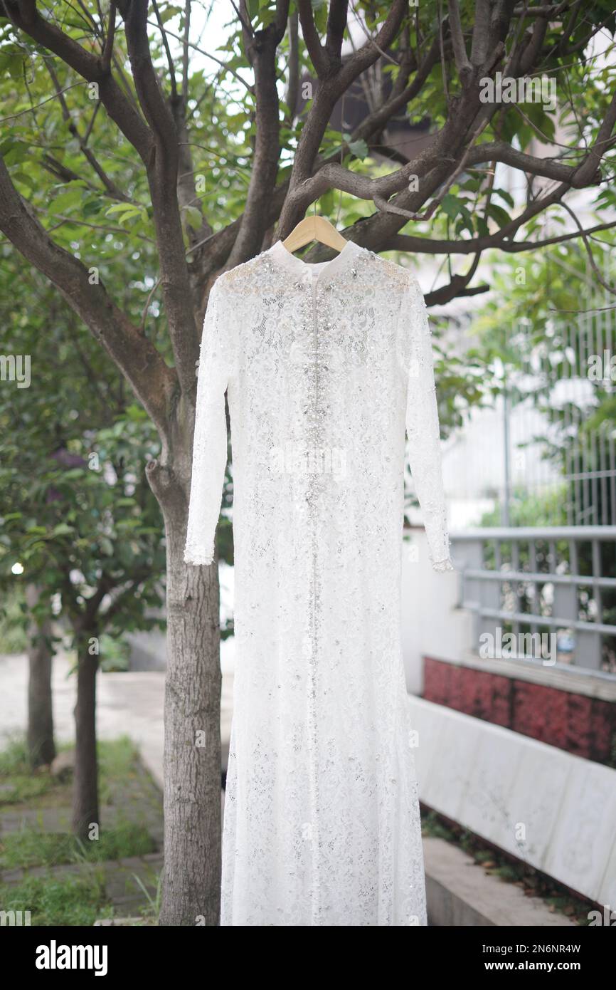 White wedding dress hanging in a tree Stock Photo - Alamy