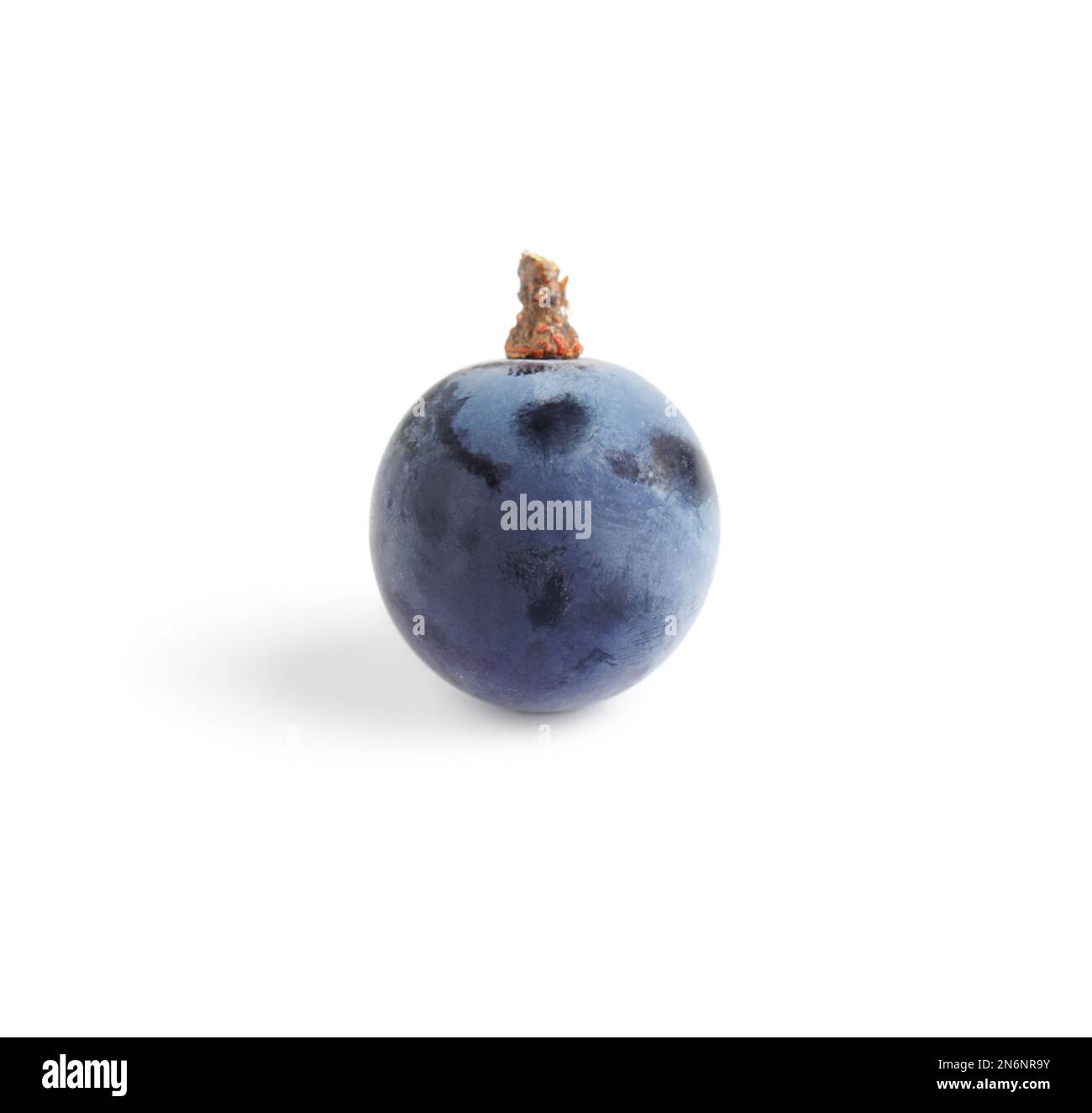 Delicious ripe dark blue grape isolated on white Stock Photo - Alamy