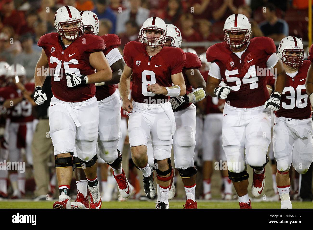 David Yankey Stanford