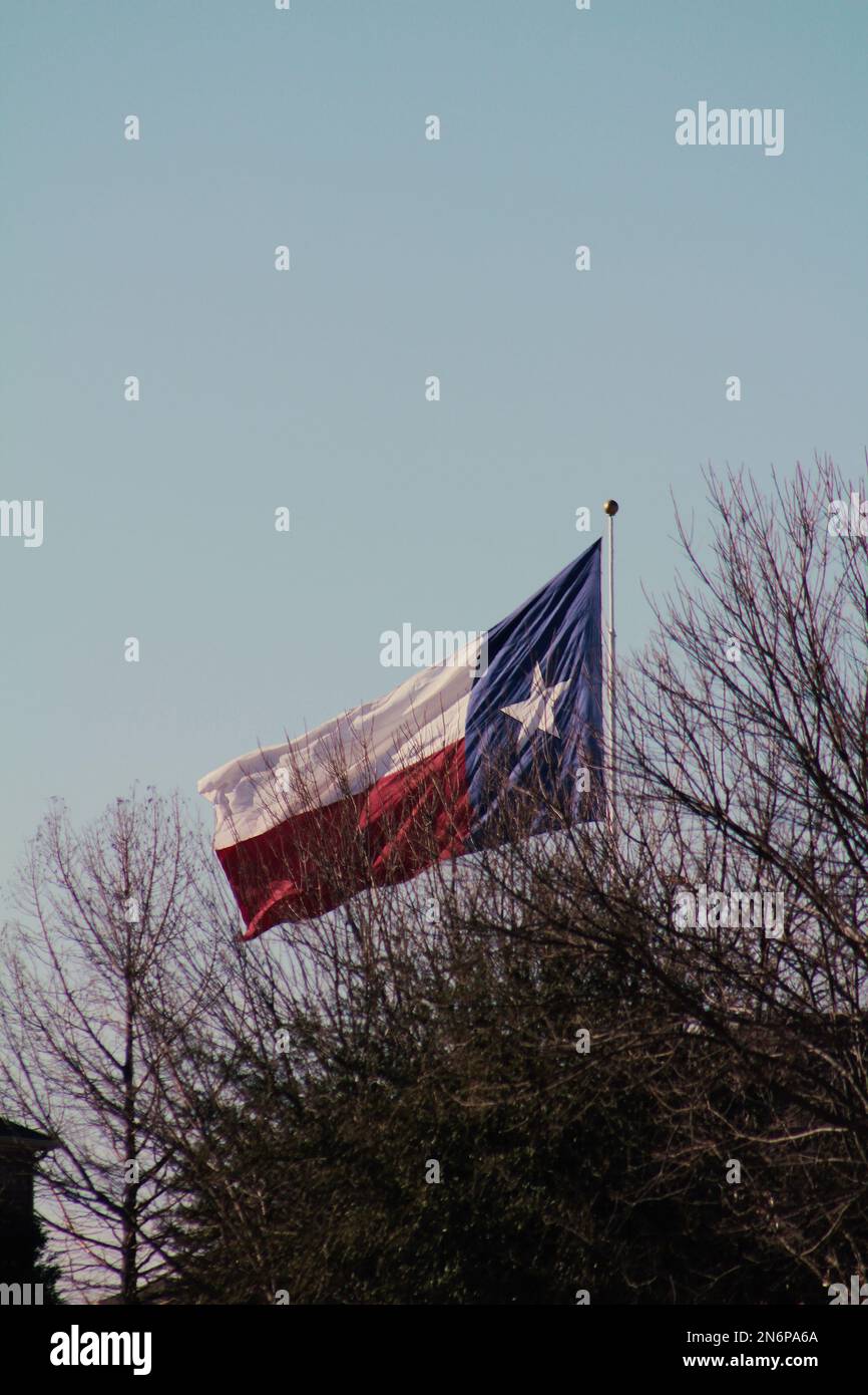The flag of Texas blowing in the wind against a beautiful backdrop of ...
