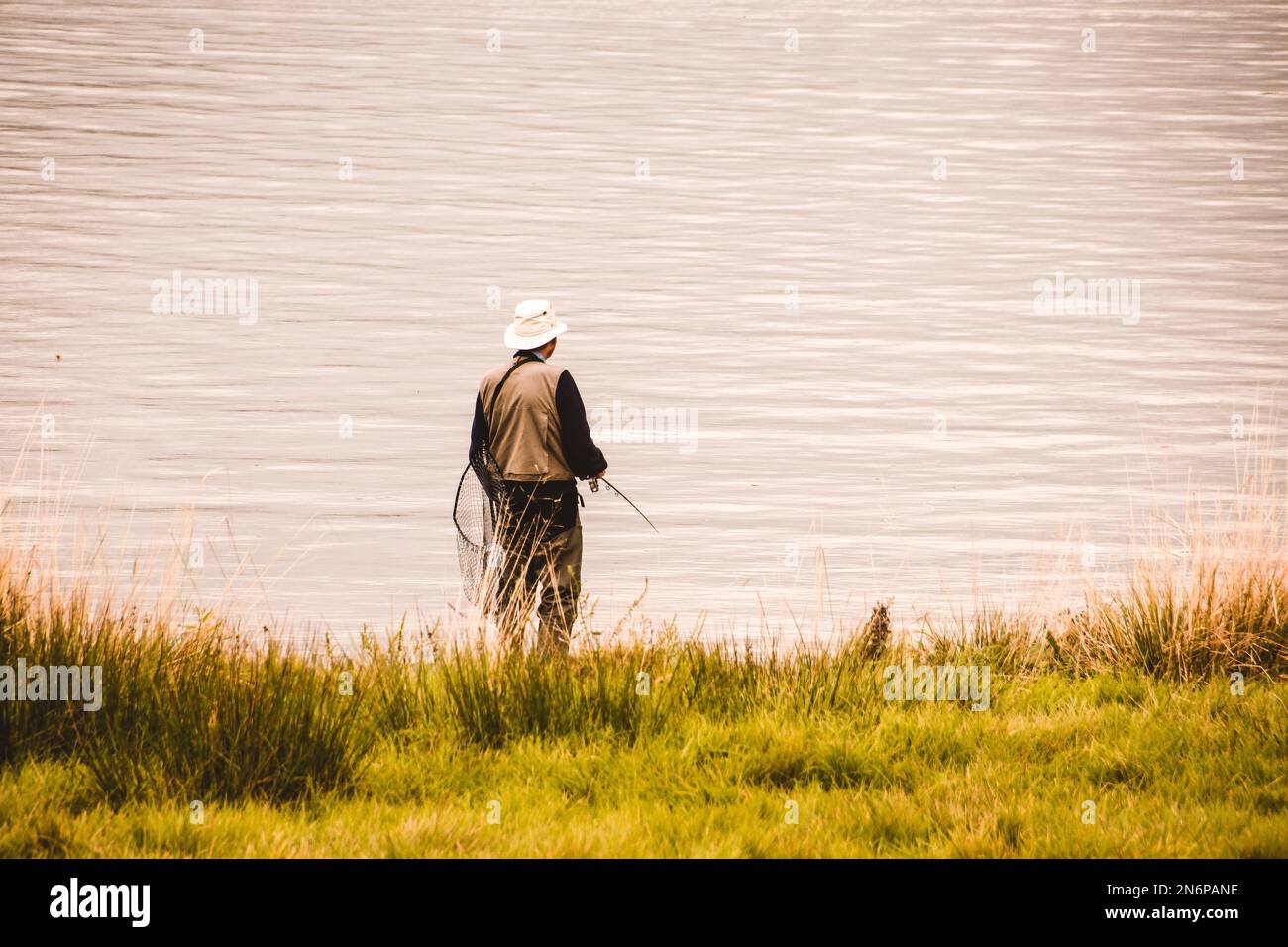 A back view of a male fishing at a lake Stock Photo - Alamy