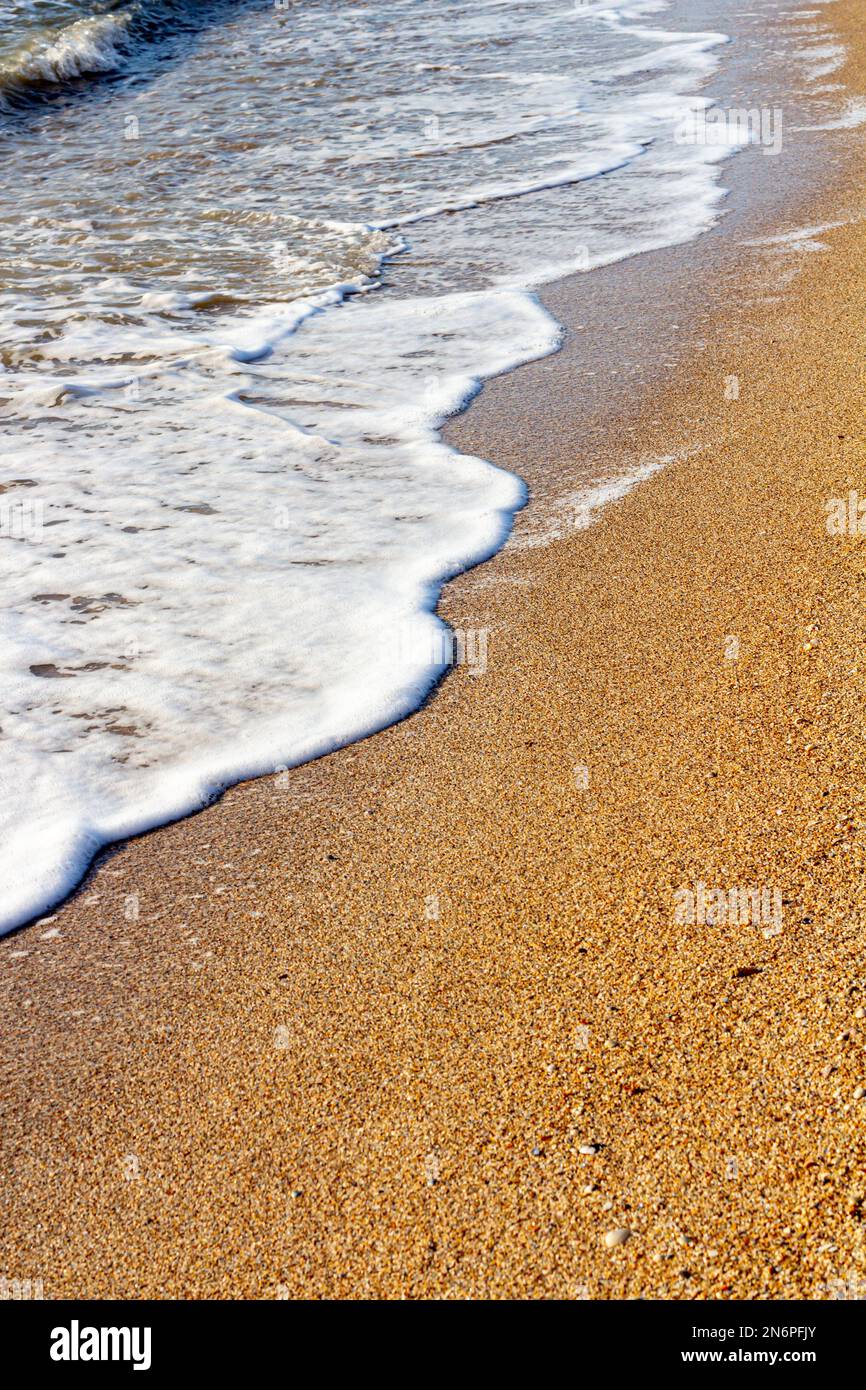 the sandy shore of the sea beach with shells and waves. background ...