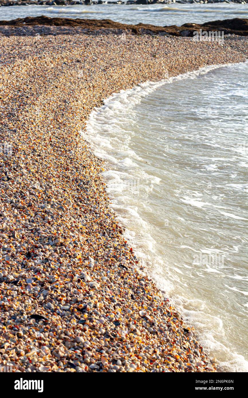 the sandy shore of the sea beach with shells and waves. background ...