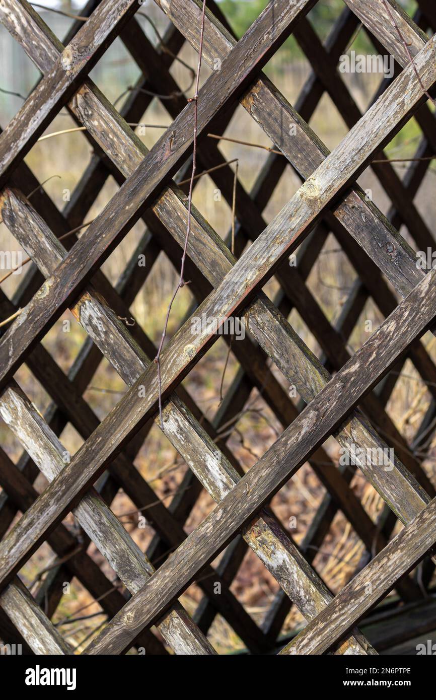 Old wooden lattice background and texture Stock Photo - Alamy