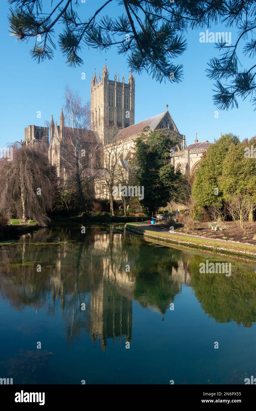 Wells Cathedral from the Bishop's garden where the seven wells are ...