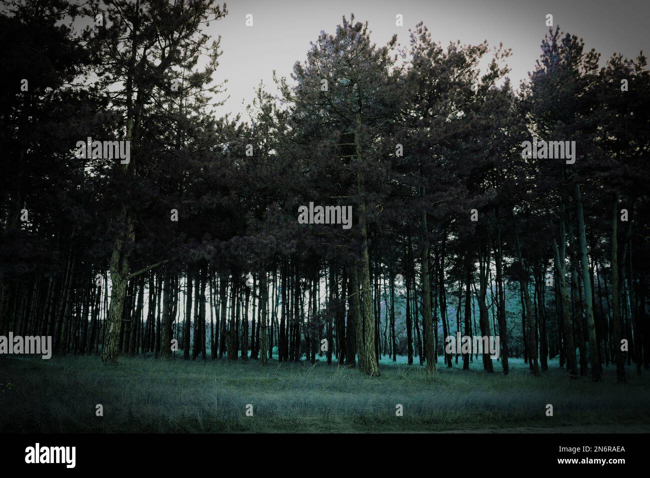Fantasy setting hi-res stock photography and images - Alamy