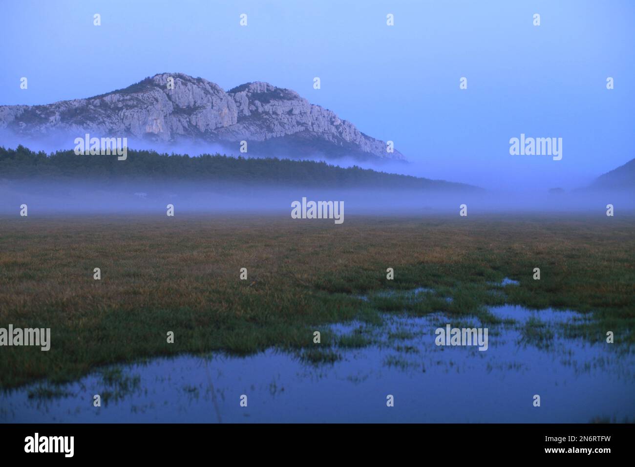 Plaine de Caille, Parc regional des prealpes d'Azur, Alpes Maritimes ...