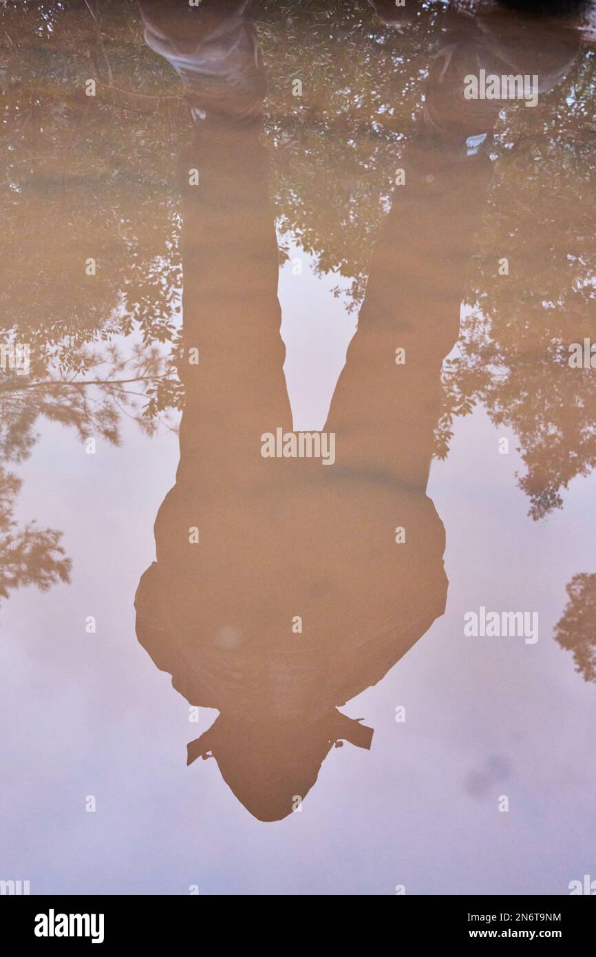 A reflection of a man in water Stock Photo - Alamy