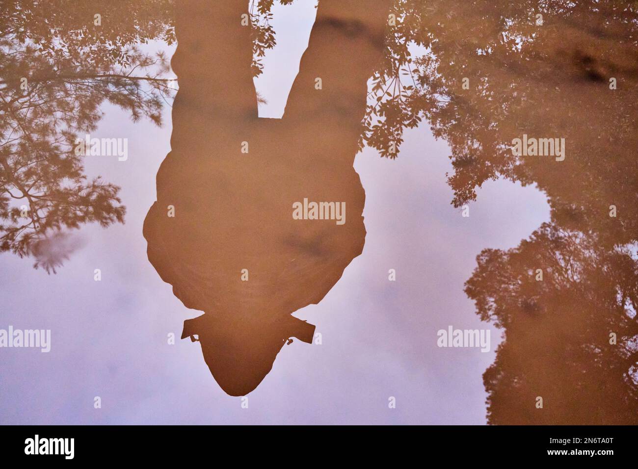 A reflection of a man in water Stock Photo - Alamy