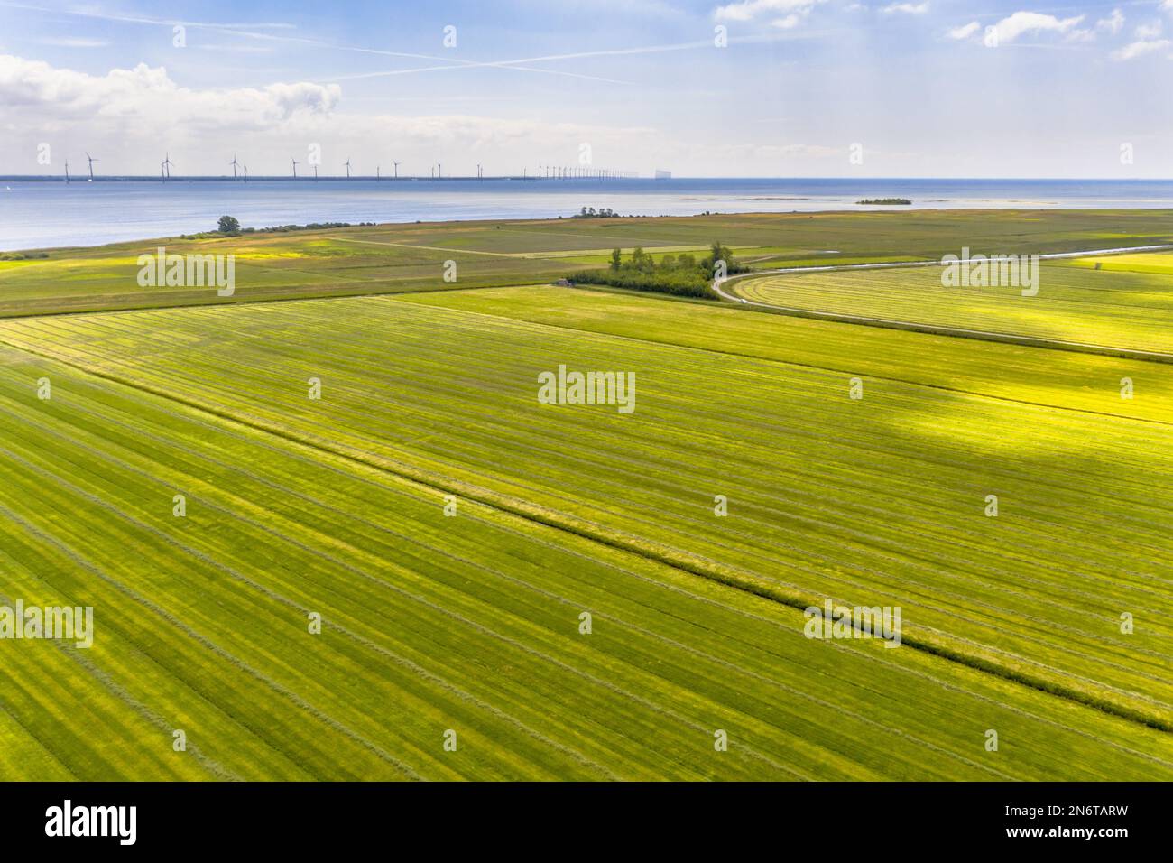 Fresh mowed green agricultural grassland under cloudy summer sky. These ...