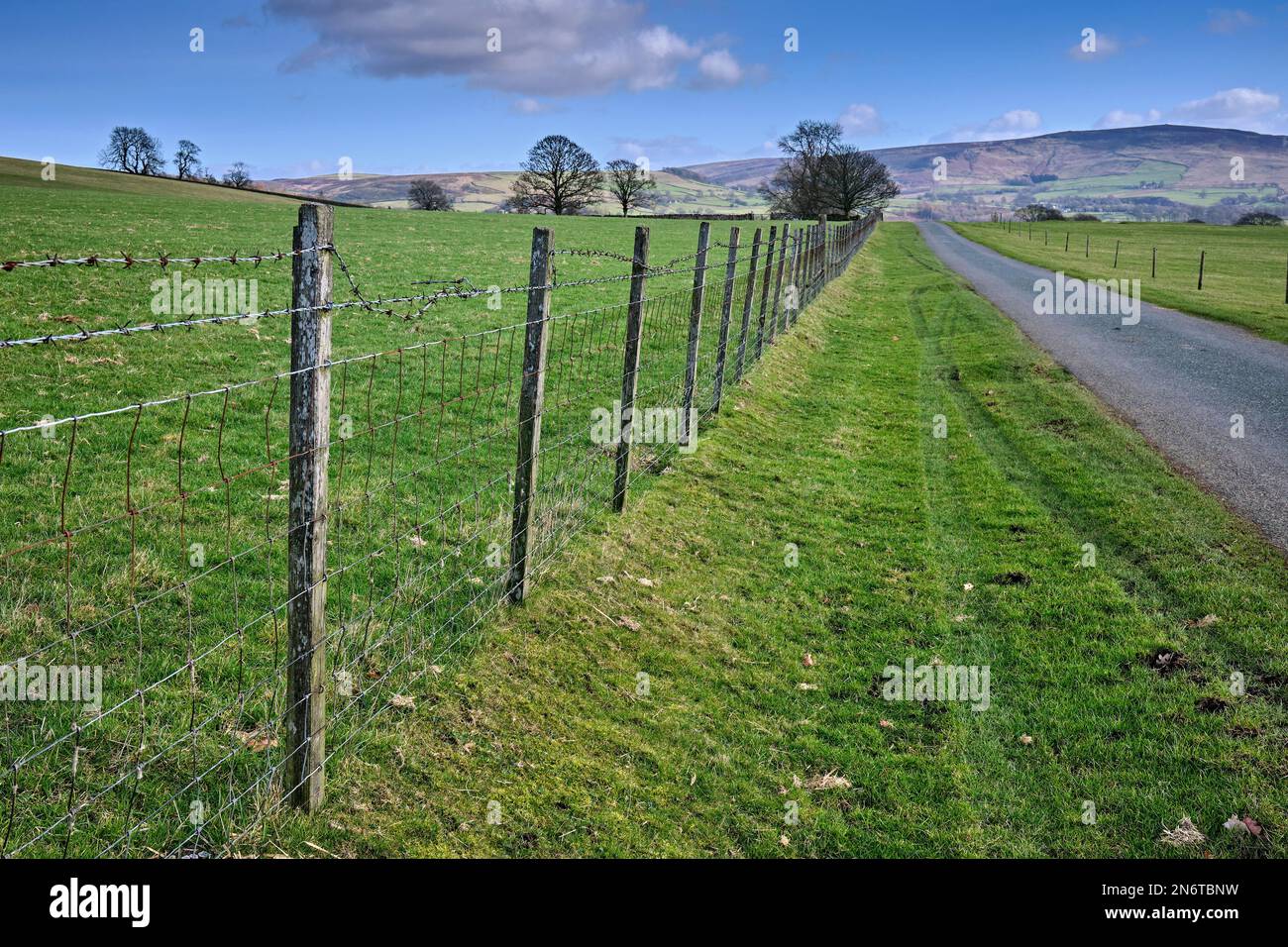 From single track road at Halton East looking east towards Beamsley ...