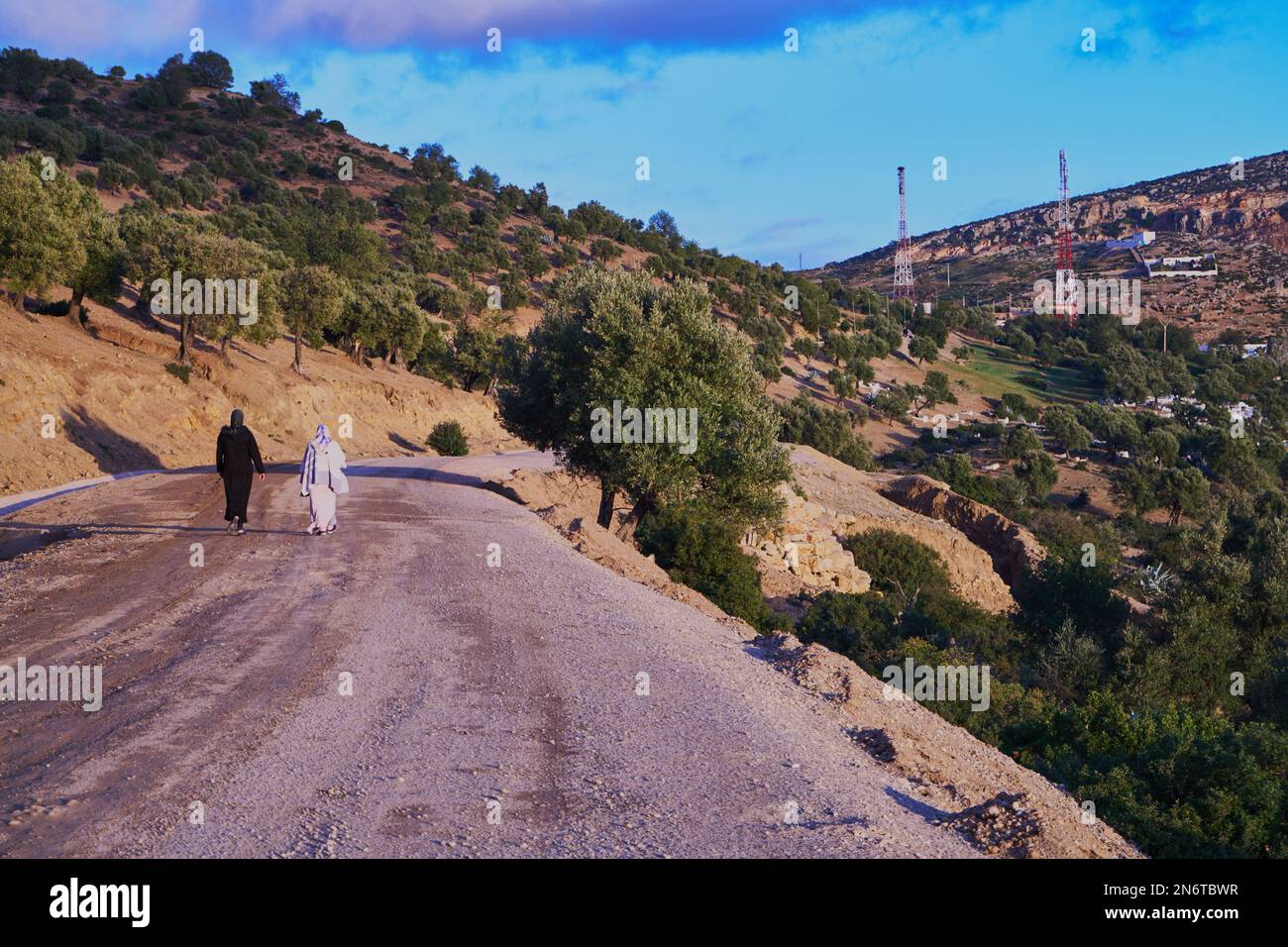 People walking on asphalt road beside trees Stock Photo - Alamy