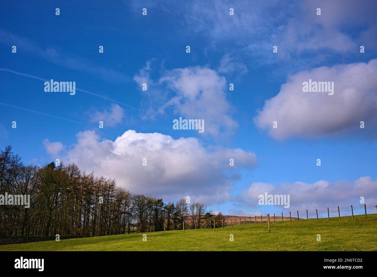 From single track road to Bolton Abbey, a view west towards Halton East ...
