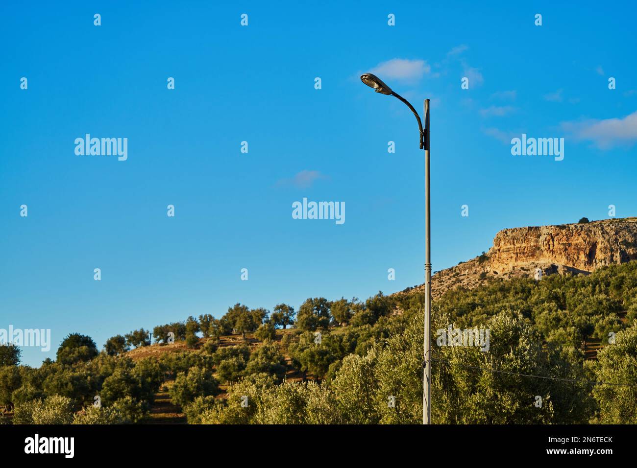 Cherry tree and street lamp hi-res stock photography and images - Alamy