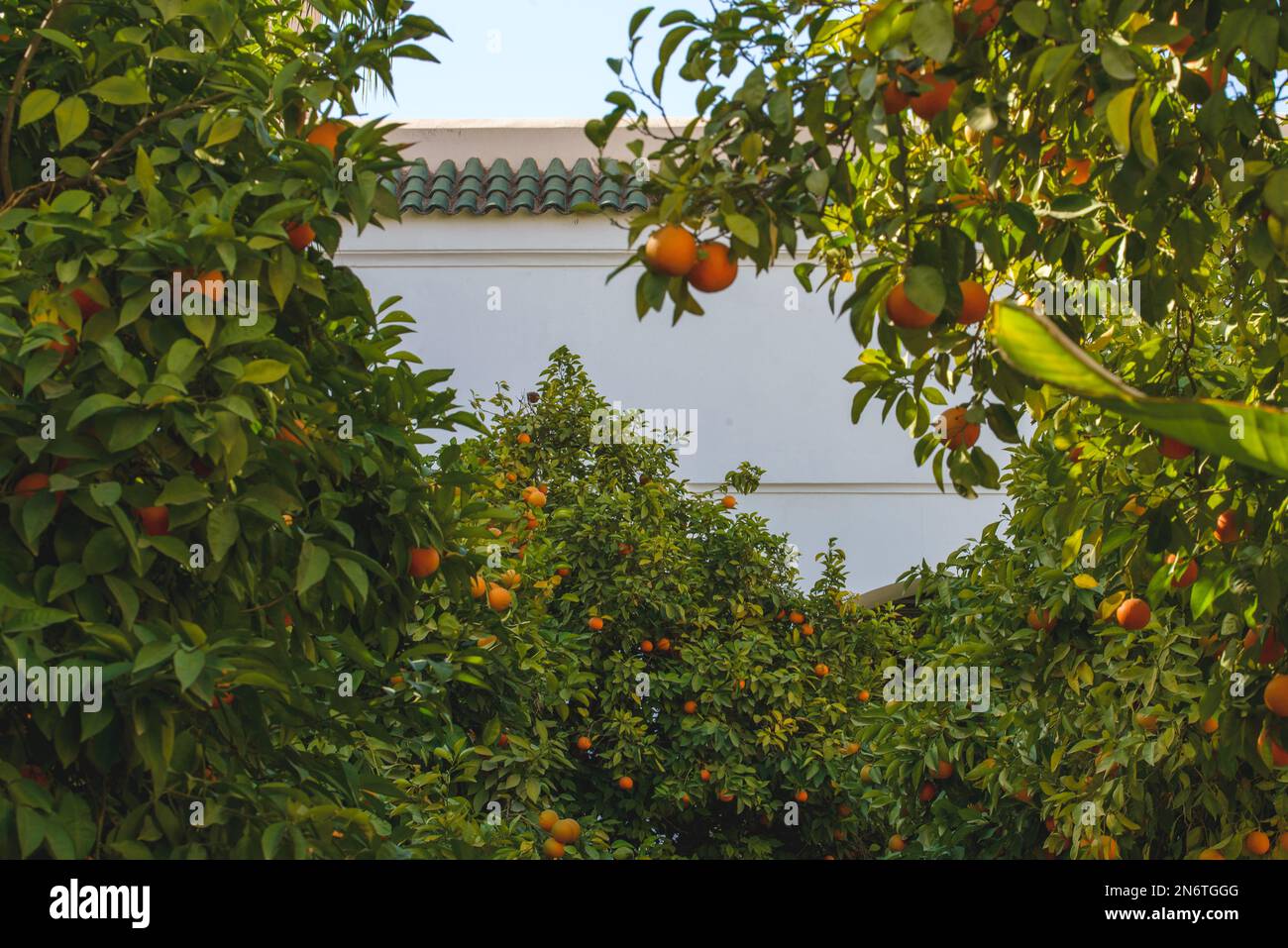 The intricate architecture of Marrakech, Morocco is brought to life ...