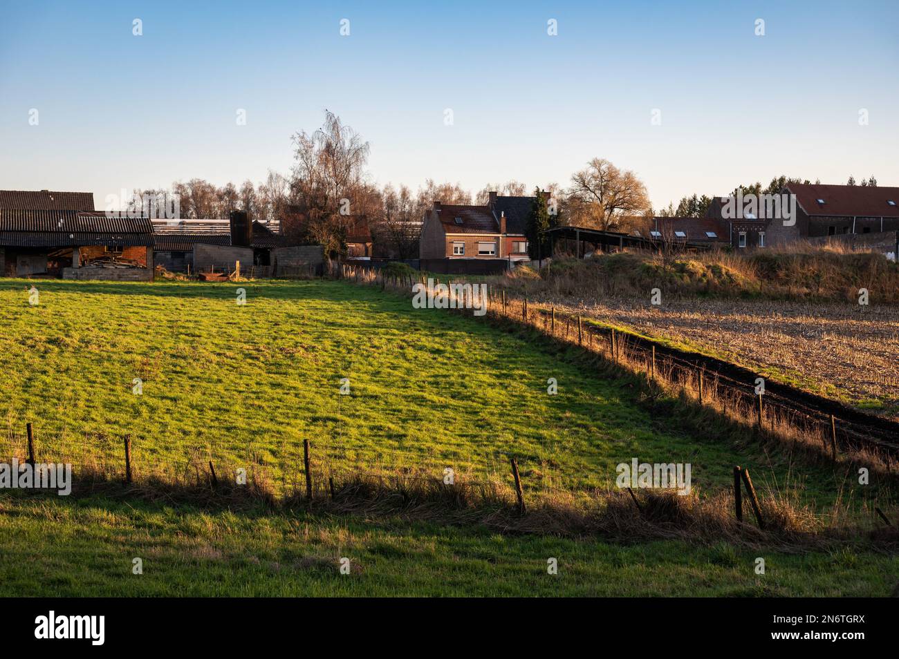 Green farmland and brown soil at the Flemish countryside around Tienen ...