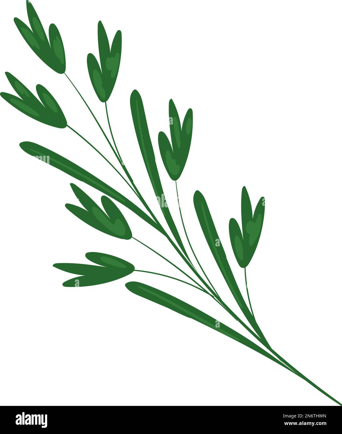 Coriander ingredient vegetable isolated Stock Vector Images - Alamy