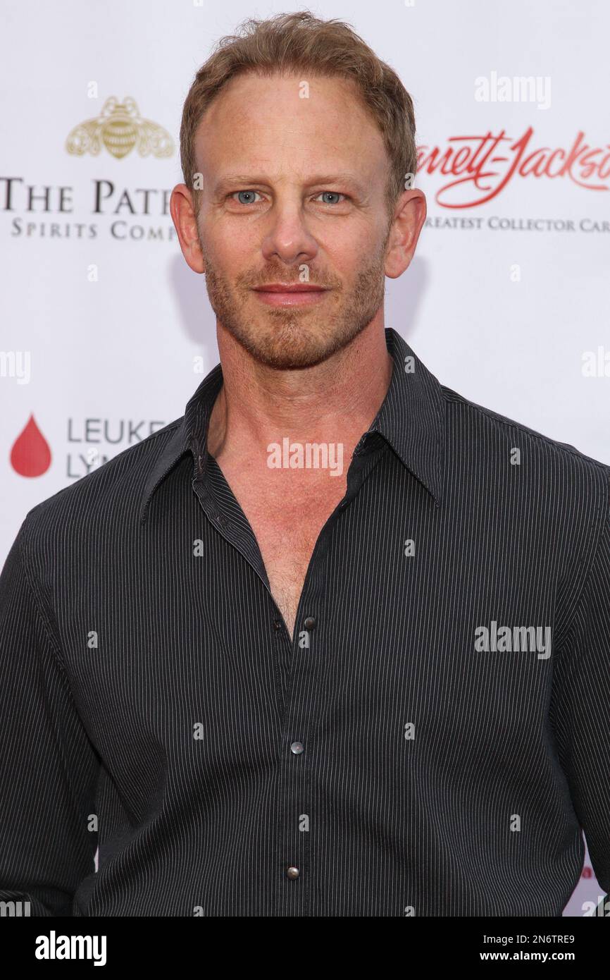 Actor Ian Ziering arrives at the premiere of "Snake and Mongoose" at ...