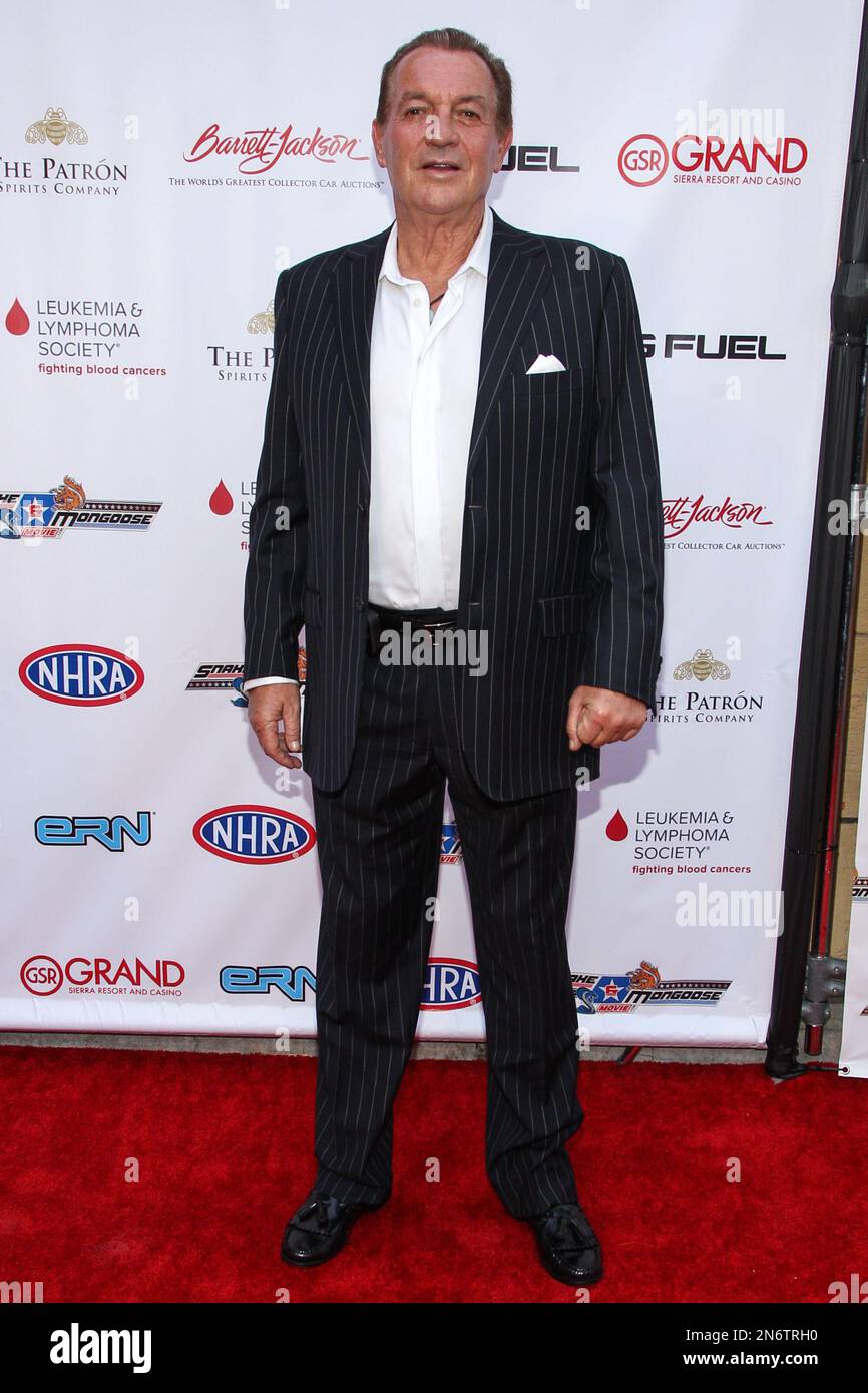 Actor Ken Medlock arrives at the premiere of "Snake and Mongoose" at ...
