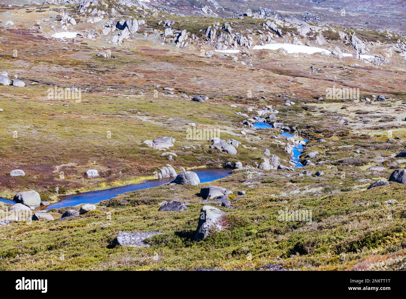 The Snowy River near Charlotte Pass and Main Range Walk on a summer's ...