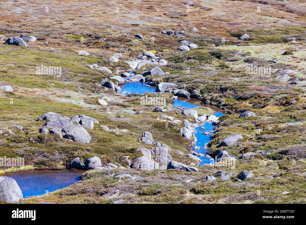 The Snowy River near Charlotte Pass and Main Range Walk on a summer's ...