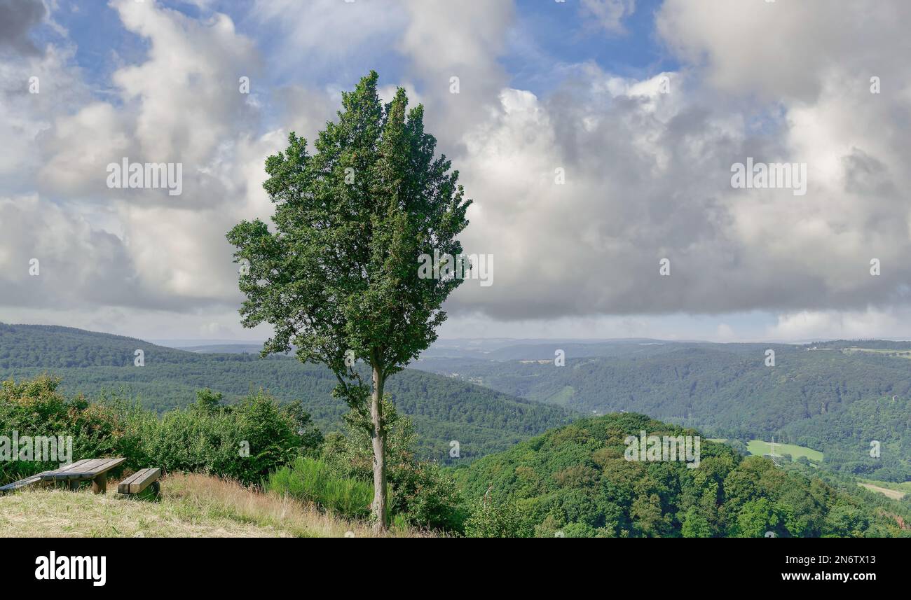 resting Place on Grosser Kopf Mountain,Arzbach,Westerwald,Germany Stock ...