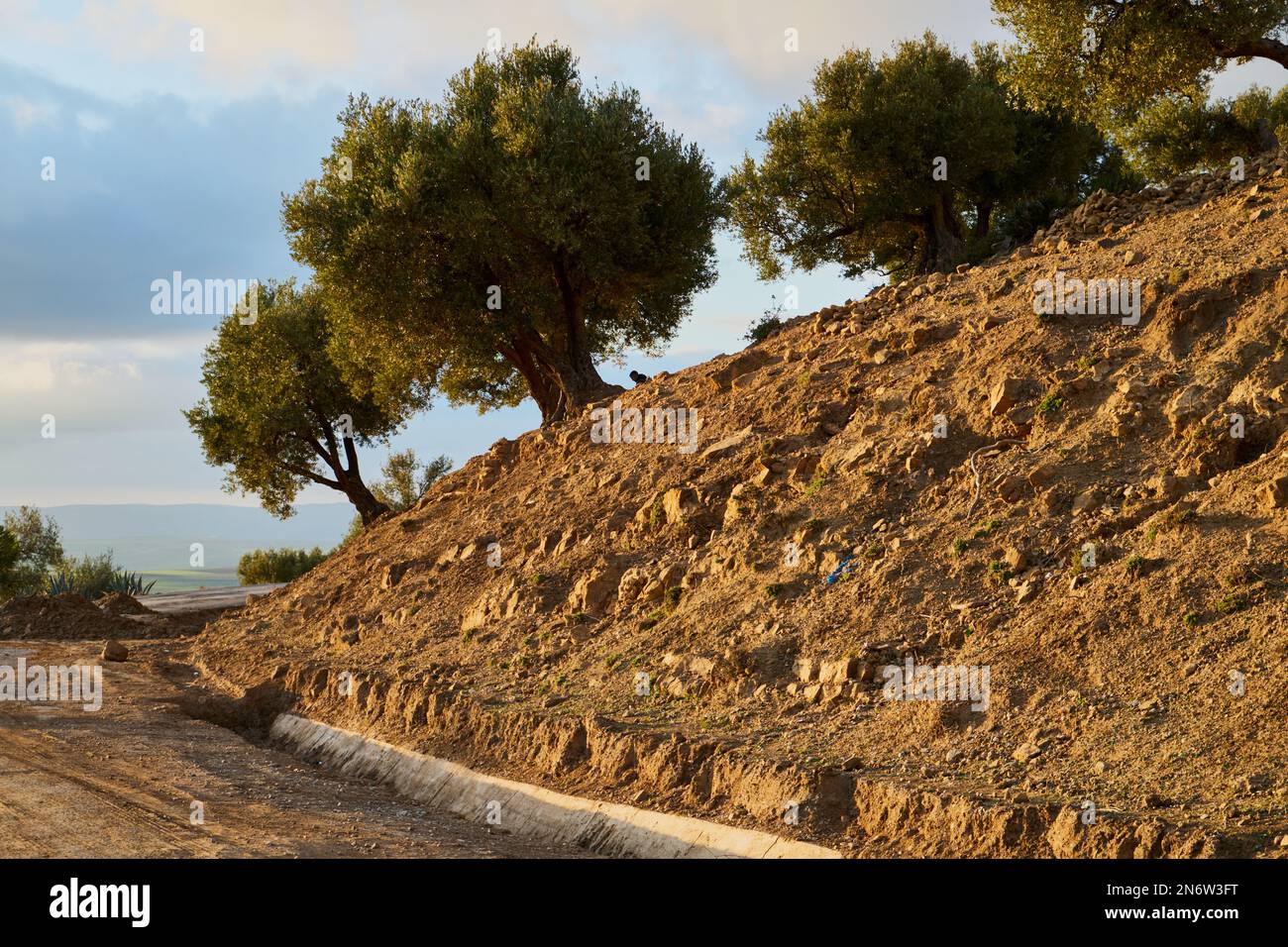 Moroccan descent hi-res stock photography and images - Alamy