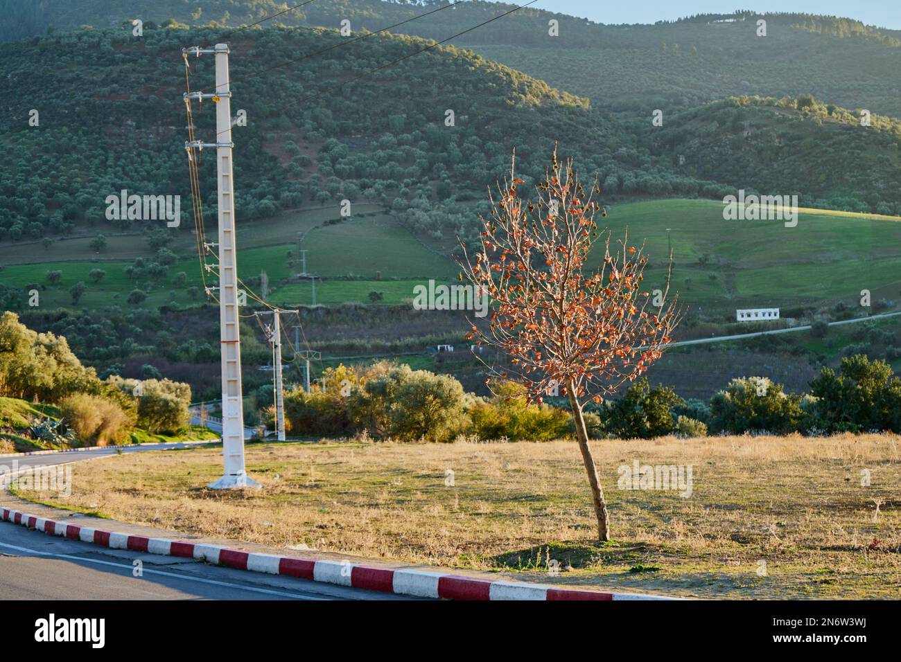 Moroccan descent hi-res stock photography and images - Alamy
