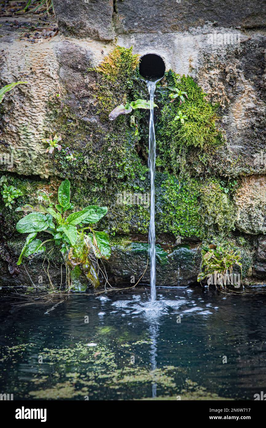 A spring pours water through a mossy pipe. into the Cromford Canal ...