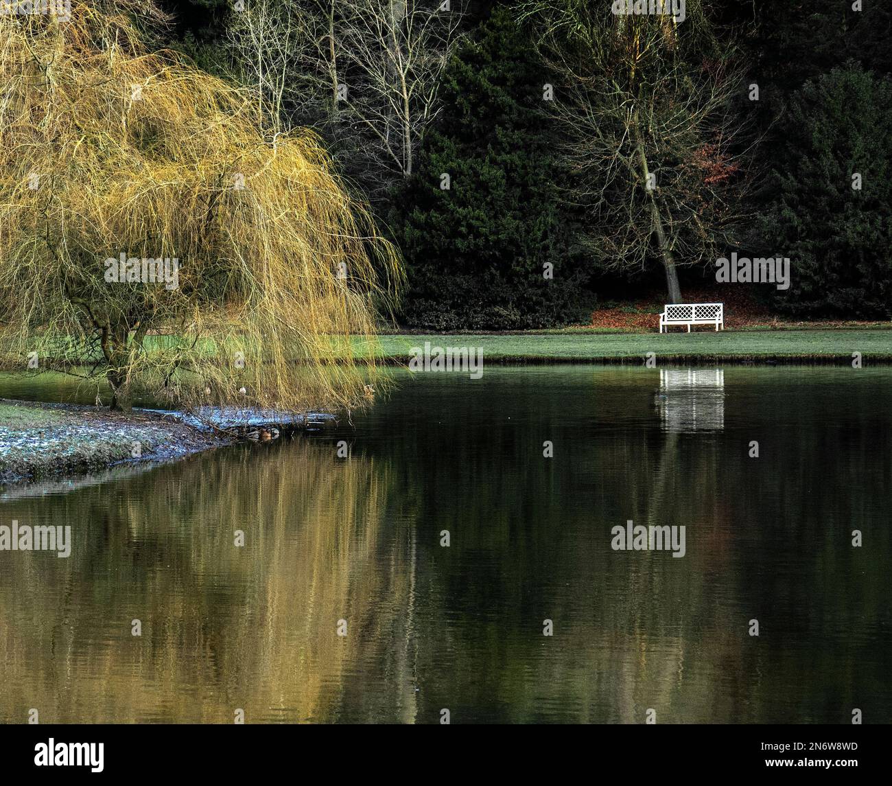 Lakeside seat hi-res stock photography and images - Alamy