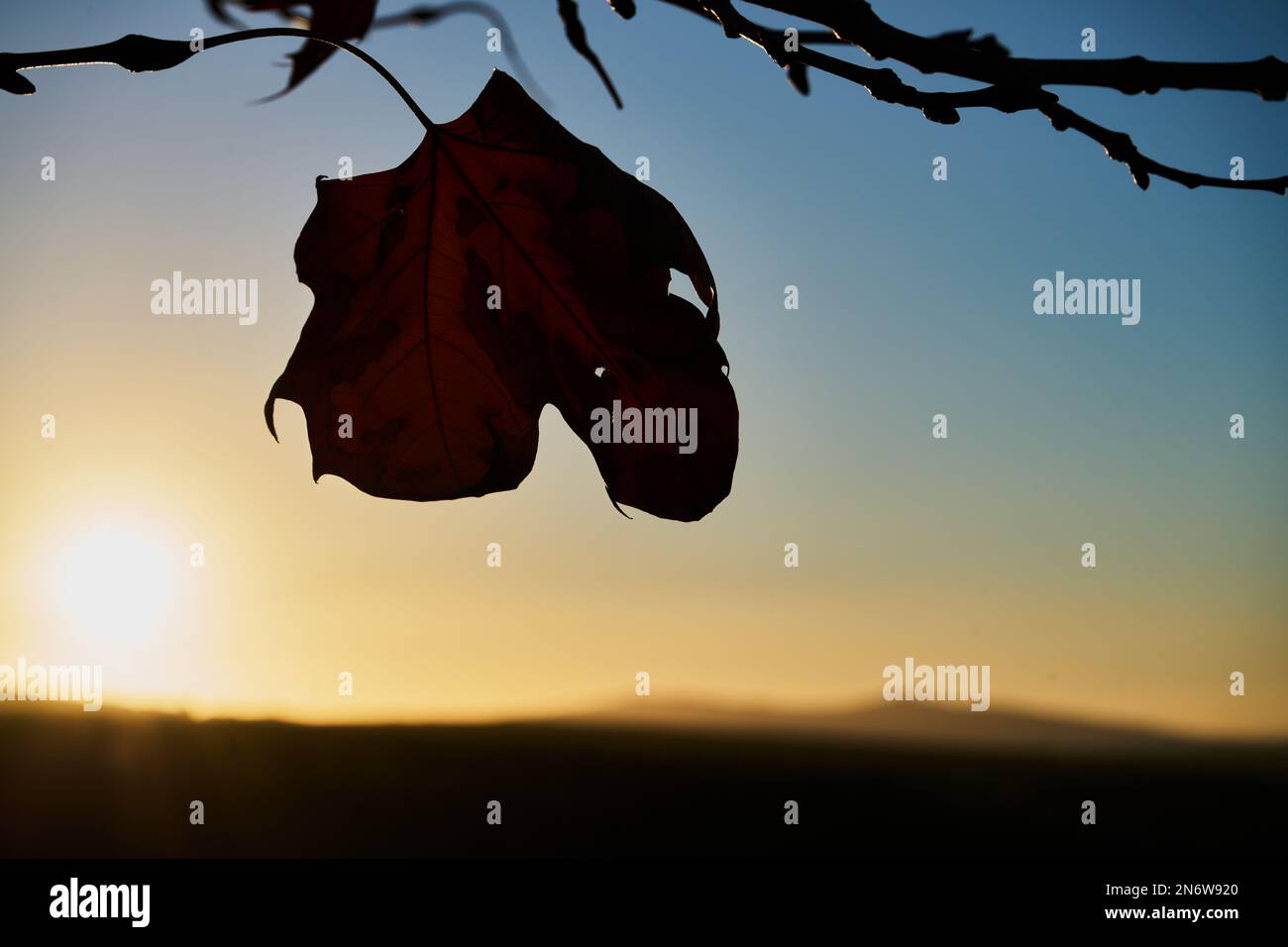 October in morocco autumn hi-res stock photography and images - Alamy