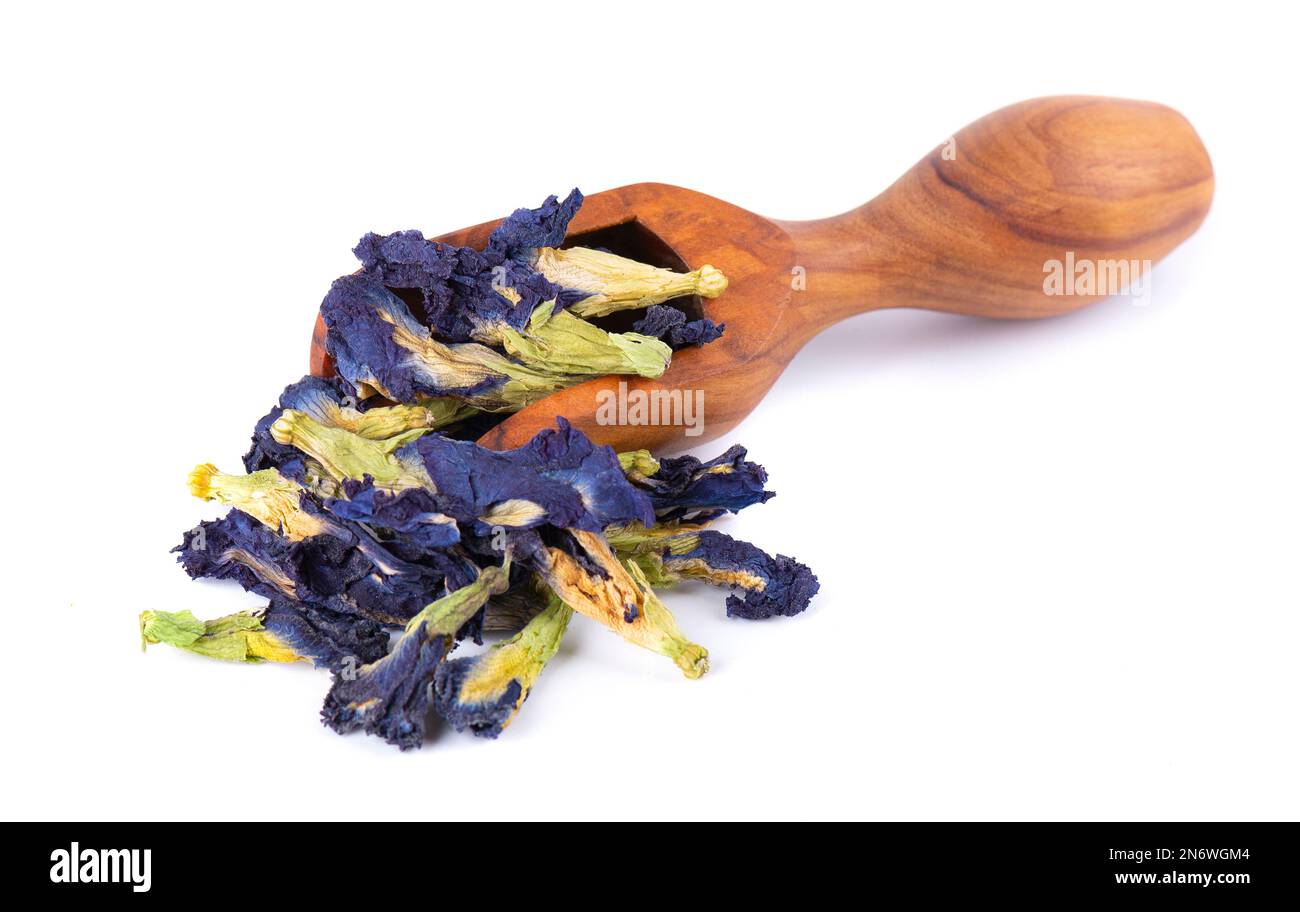 Butterfly pea flowers in wooden spoon, isolated on white background ...
