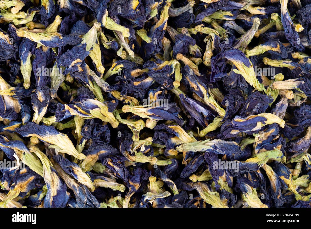 Butterfly pea flowers background. Blue herbal tea. Clitoria Ternatea ...