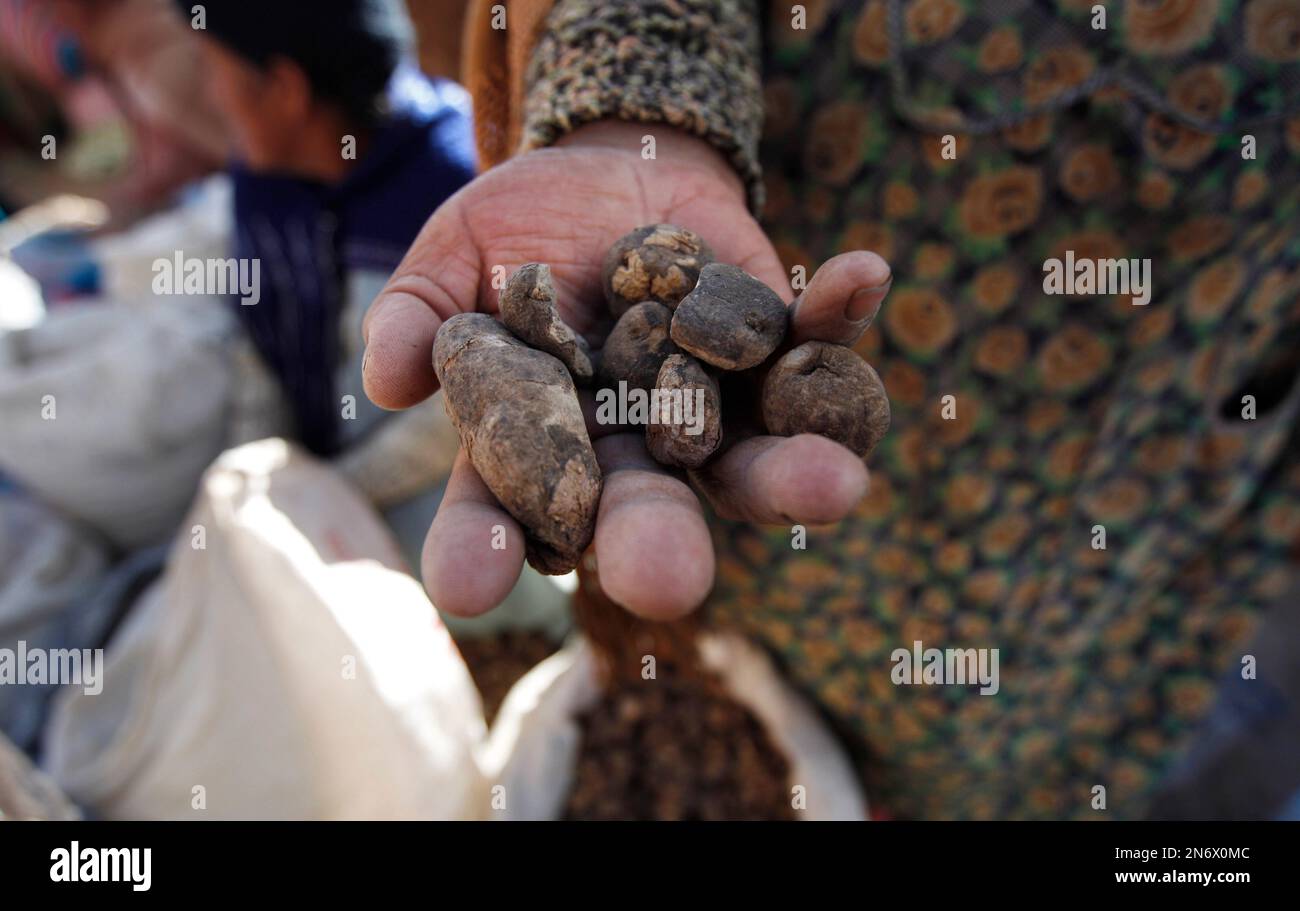 In this Aug. 9, 2013, a vendor selling "chuno" holds out traditionally ...