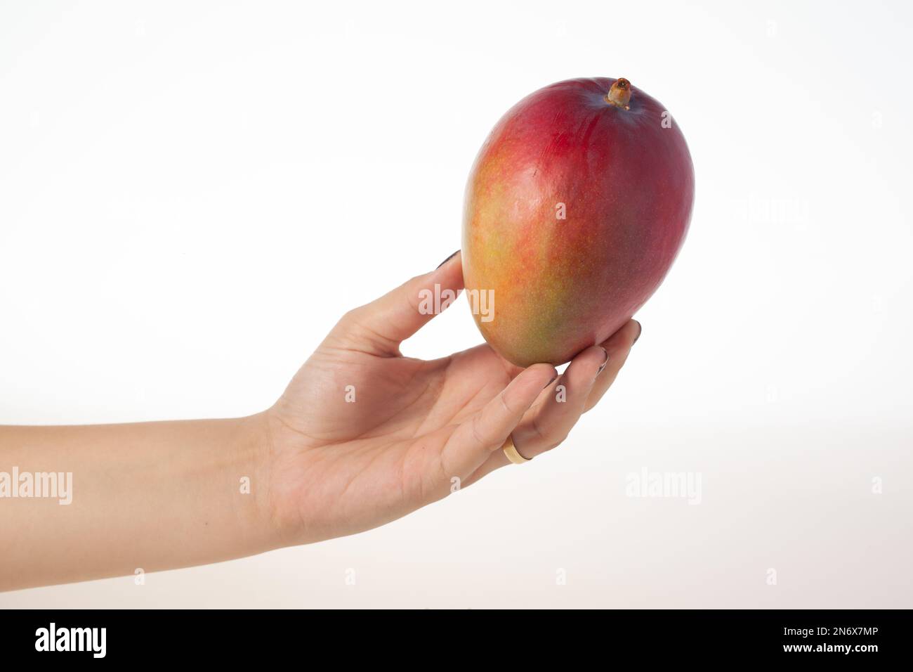 Hand holding whole mango isolated on white background Stock Photo - Alamy