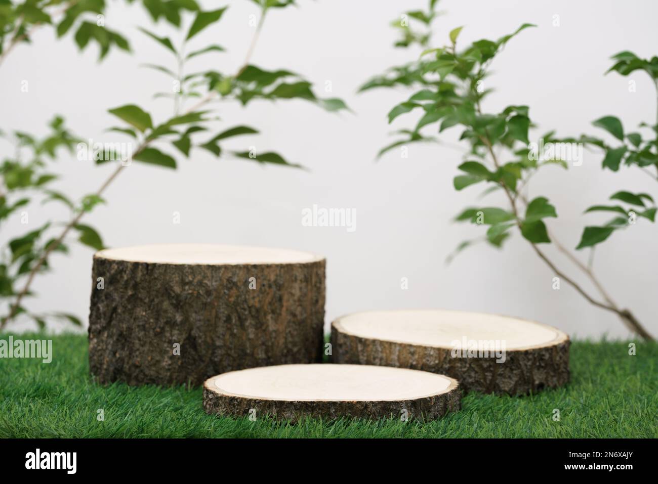 wood podium on grass with tree branch green leaf white space background ...