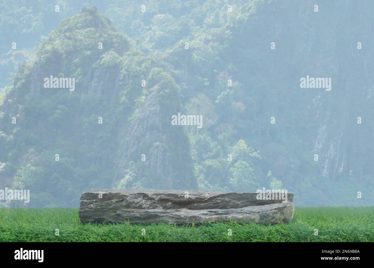 stone rock table top counter podium in outdoor tropical garden forest ...