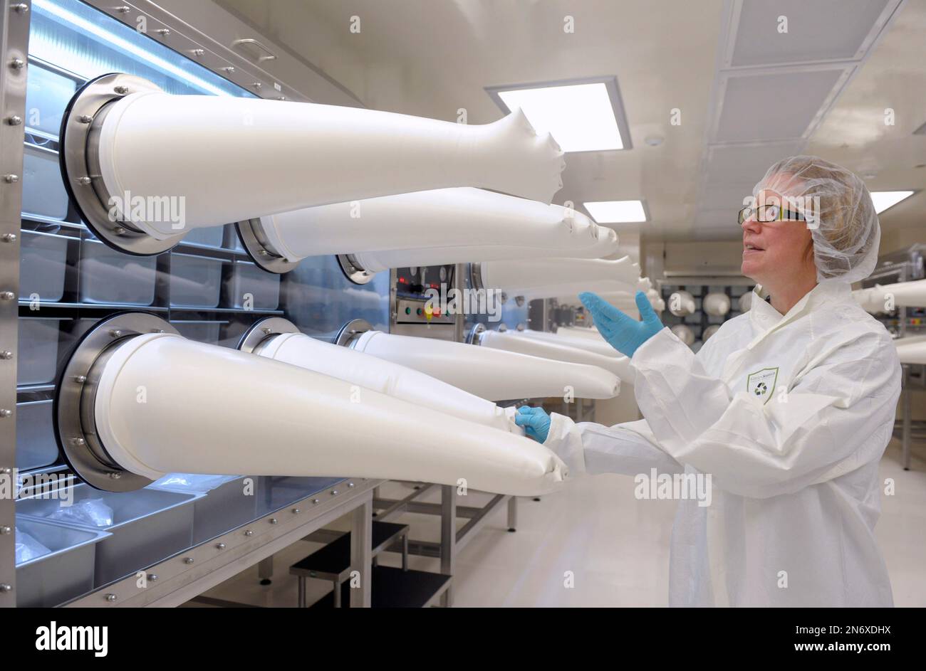 Linda Welzenbach, Collections Manager of the National Meteorite ...