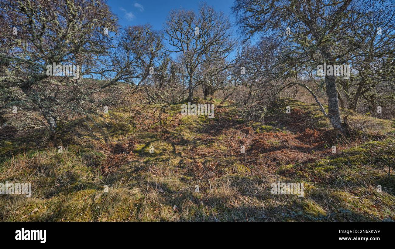 Dun liath hi-res stock photography and images - Alamy