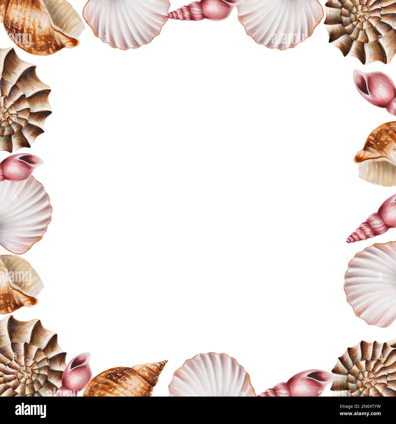 Sea Shell Border Clip Art